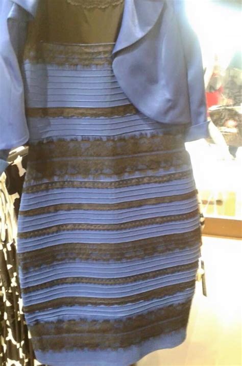 Do Photographers See Ambiguity In The Color Of The Blueblack Gold