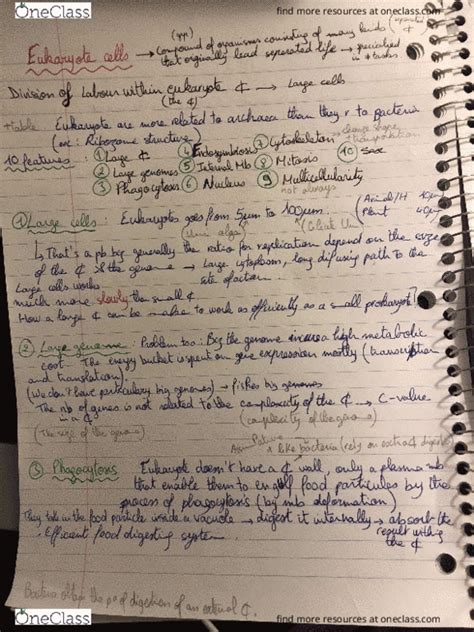 Biol 111 Lecture 5 Eukarytote Oneclass