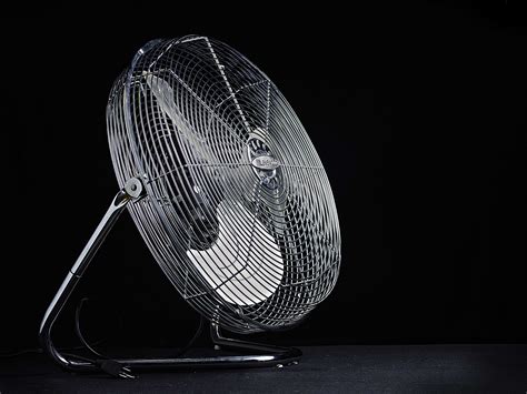 Portraits Of My Best Fans