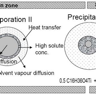 Proposed Mechanisms Of Particle Formation And Decomposition Reaction Download Scientific Diagram