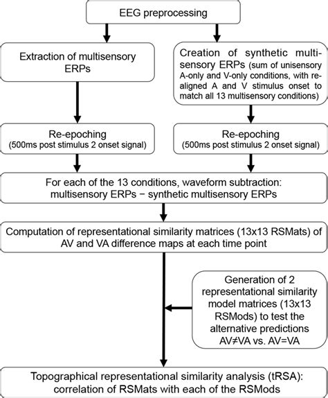 eeg data analysis pipeline download scientific diagram