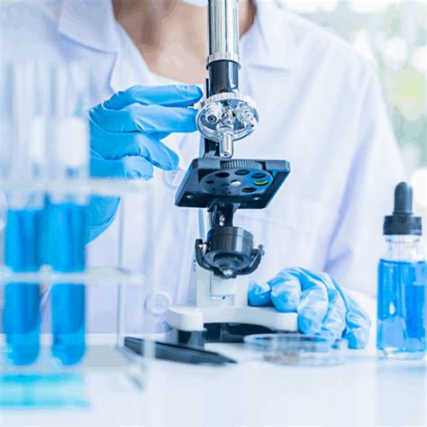 Eu Ends Rabbit Pyrogen Test Impact On Marketing Authorisation Dlrc