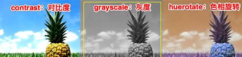 全网 灰色主题实现原理 网站设为灰色主题 csdn博客