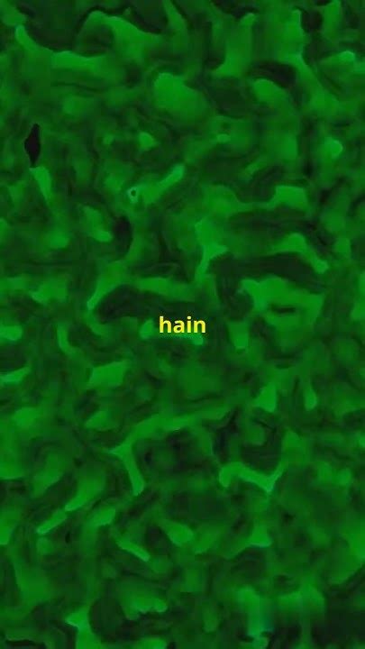 How Cyanobacteria And The Great Oxygenation Event Made Earth Breathable Youtube