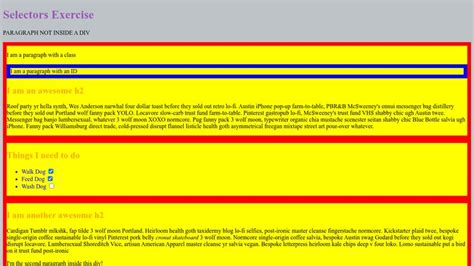 Css Selectors Practice Exercise
