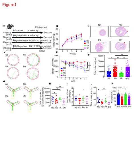 Improvement By Pa Intervention Of Spatial Learning And Memory And Download Scientific Diagram