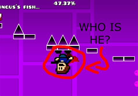 Who Is He Who Is This Meme Who Is He Who Is This Who Are They