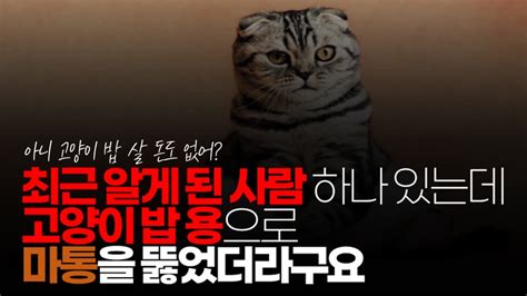 시청자댓글 최근 알게 된 사람 하나 있는데 고양이 밥 용으로 마통을 뚫었더라구요 Youtube