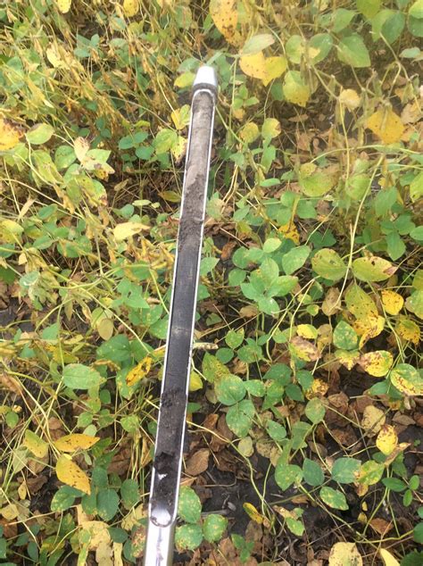 Soil Sampling Behind The Combine Increases Sample Accuracy