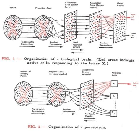 Vijay Kumar Shah On Linkedin Deeplearning Datascience Machinelearning Ml