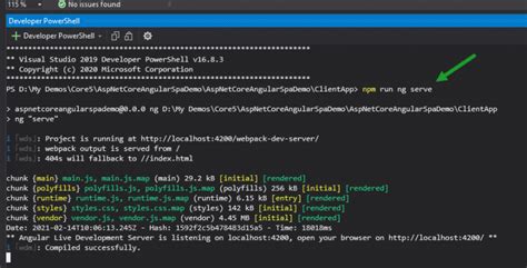 A Guide For Building Angular Spa With Asp Net Core 5 Web Api