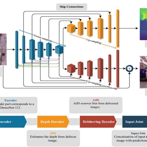 2hdednet Architecture Consists Of One Encoder And Two Decoders That