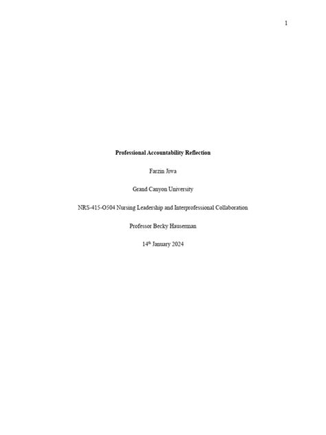 Professional Accountability Reflection Pdf Social Media Popular