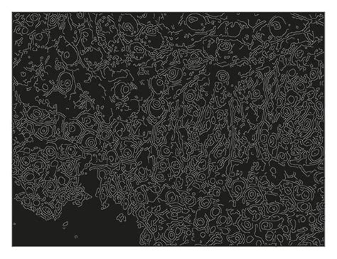 Image Segmentation Process A Grayscale Image B Grayscale Image