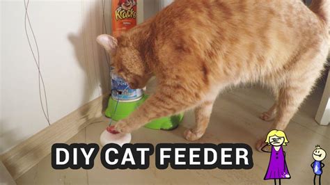 Diy Arduino Cat Feeder Cat Pushes The Button To Get Food