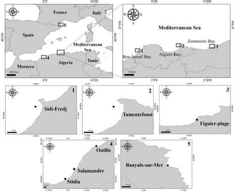Geographical Localization Of The Sampling Areas 1 2 3 4 And 5 Download Scientific Diagram