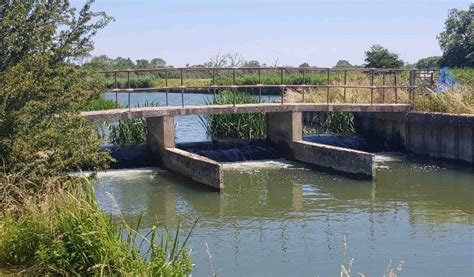 Seacourt Stream Natural Fish Bypass