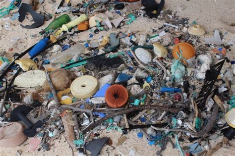 太平洋の無人島に世界最悪のプラスチックごみ集積 世界遺産 BBCニュース