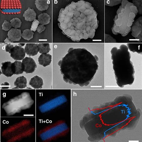 Type A Ternary Heterostructure A Schematic Illustration Of The