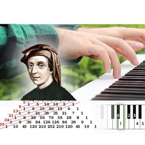 Fibonacci And Natures Magic Number Age 8 FulEDU