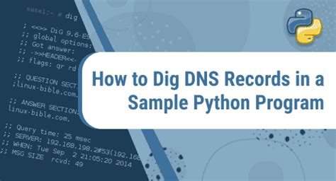 How To Dig DNS Records In A Sample Python Program LinuxWays