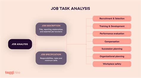 9 Steps To Master Job Task Analysis Fast • Toggl Hire