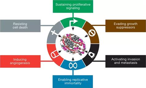 癌症的标志性特征 知乎