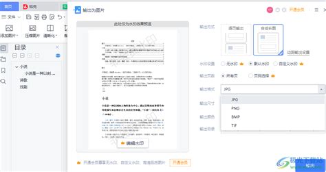 Wps Word文档怎么保存为格式 Wps Word文档保存为格式的方法 极光下载站