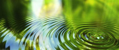 Hasan Cakmak On Linkedin Couchbase Named A Leader In Fall 2022 G2 Reports