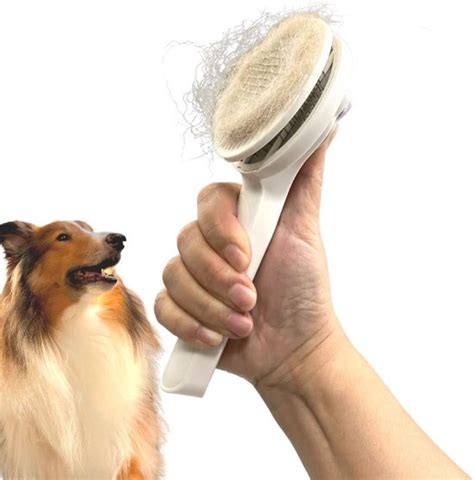 Kat Grooming Borstel Hond Slicker Borstel Huisdier