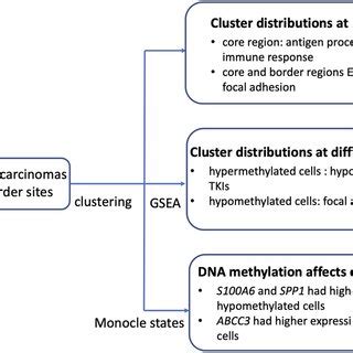 Samples Used For Data Analysis E MTAB 6149 And E MTAB 6653 Download Scientific Diagram