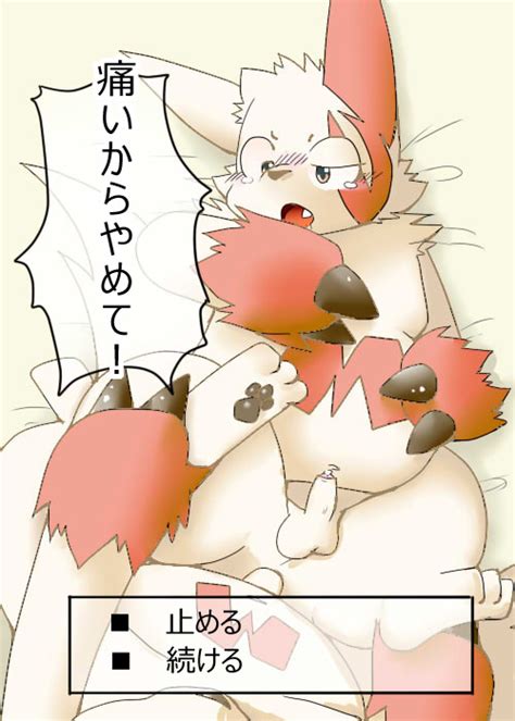 Pool Zangoose Sex E621