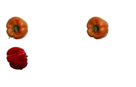 Pepper Object Detection Dataset By Biber