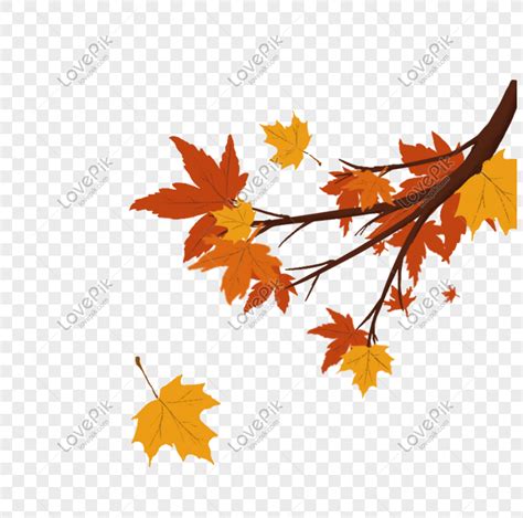 낙엽 Png 일러스트 무료 다운로드 Lovepik