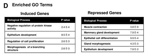 表观转录调控之chip Seq和rna Seq联合分析 腾讯云开发者社区 腾讯云
