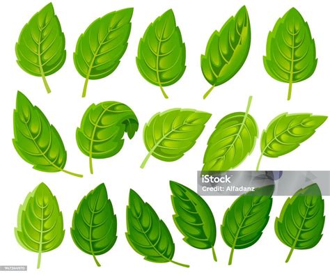 녹색 잎의 세트입니다 나무와 식물의 잎의 다양 한 모양입니다 꽃 단풍 디자인 요소입니다 벡터 그림을 흰색 배경에 고립입니다 웹사이트 페이지 및 모바일 애플 리 케이 션