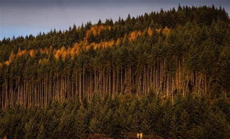 Schneider Electric Sustainability Business On Linkedin Climate Risk