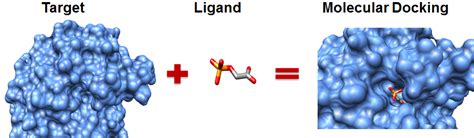 Protein Protein And Protein Ligand Docking Intechopen