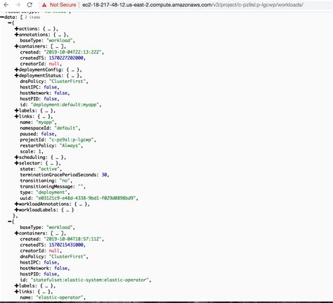 CRD Managed Pods Not Shown In The UI In Group By Namespace Workload View Issue