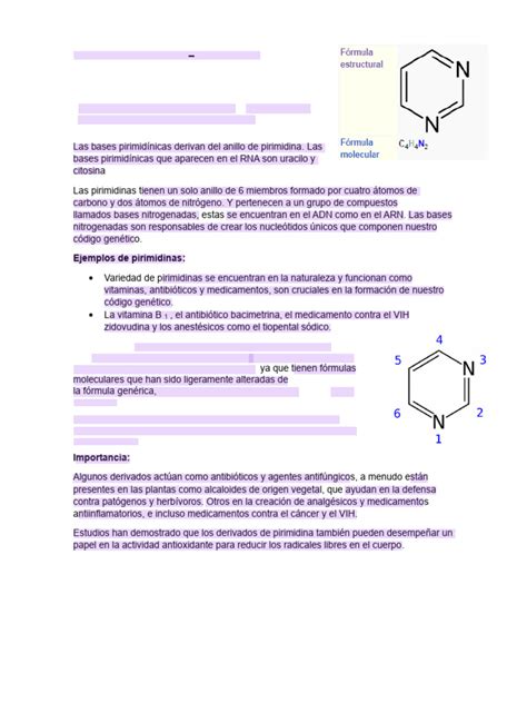Quimicabases Pirimidicas Pdf