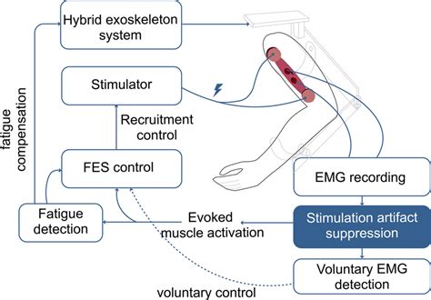 Illustration Of A Typical Emg Driven Closed Loop Fes System Download Scientific Diagram