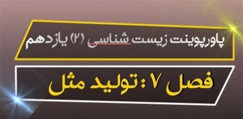 خرید و قیمت پاورپوینت فصل هفتم زیست شناسی 2 پایه یازدهم تجربی تولید مثل ترب