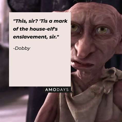 38 Dobby Quotes To Remind Us Of Our Forever Treasured Free Elf From