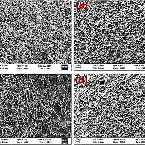 Effect Of Saturation Pressure On The Morphology Of Microcellular Foamed Download Scientific