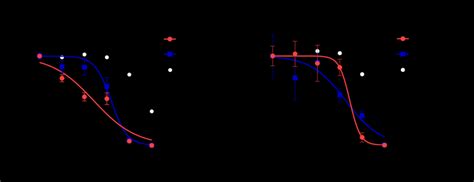 Antiviral Activity Of Dptip Against Medically Relevant Flaviviruses Download Scientific