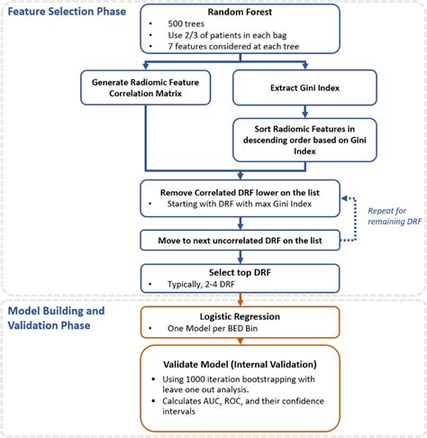 Drf Model And Analysis Workflow Download Scientific Diagram
