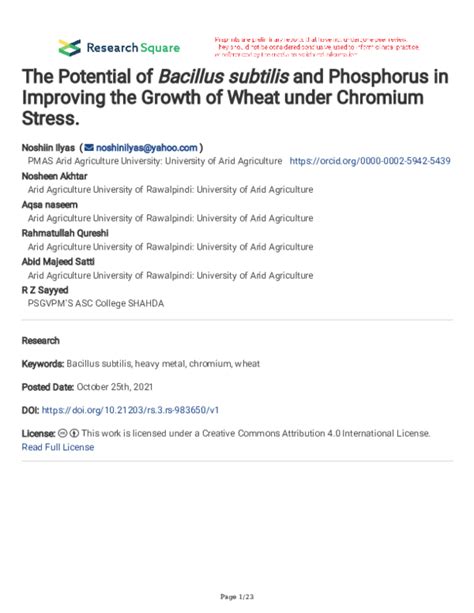 Pdf The Potential Of Bacillus Subtilis And Phosphorus In Improving The Growth Of Wheat Under