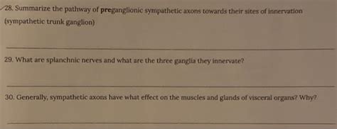 Solved 28 Summarize The Pathway Of Preganglionic