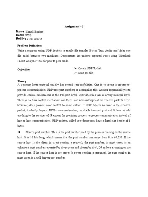 Cn Assignment 6 Sonali Banjare Pdf Internet Protocols Port