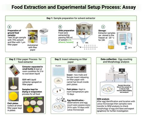 Food Extraction Process And Insect Egg Identification Biorender Science Templates